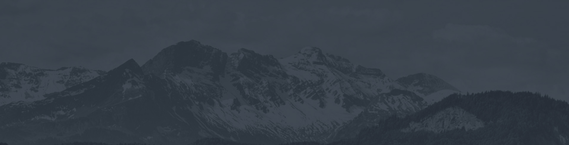 Vamoos app and system features | Vamoos