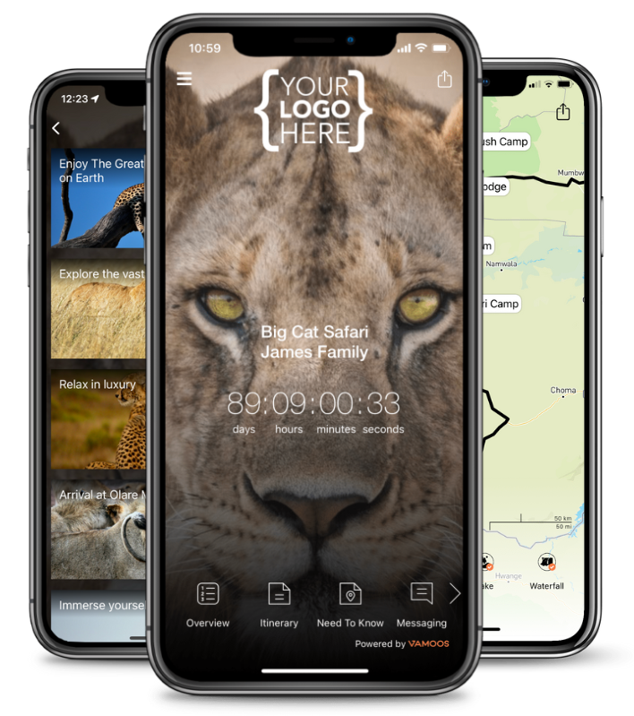 How to WOW your safari clients with a personalised travel App | Vamoos