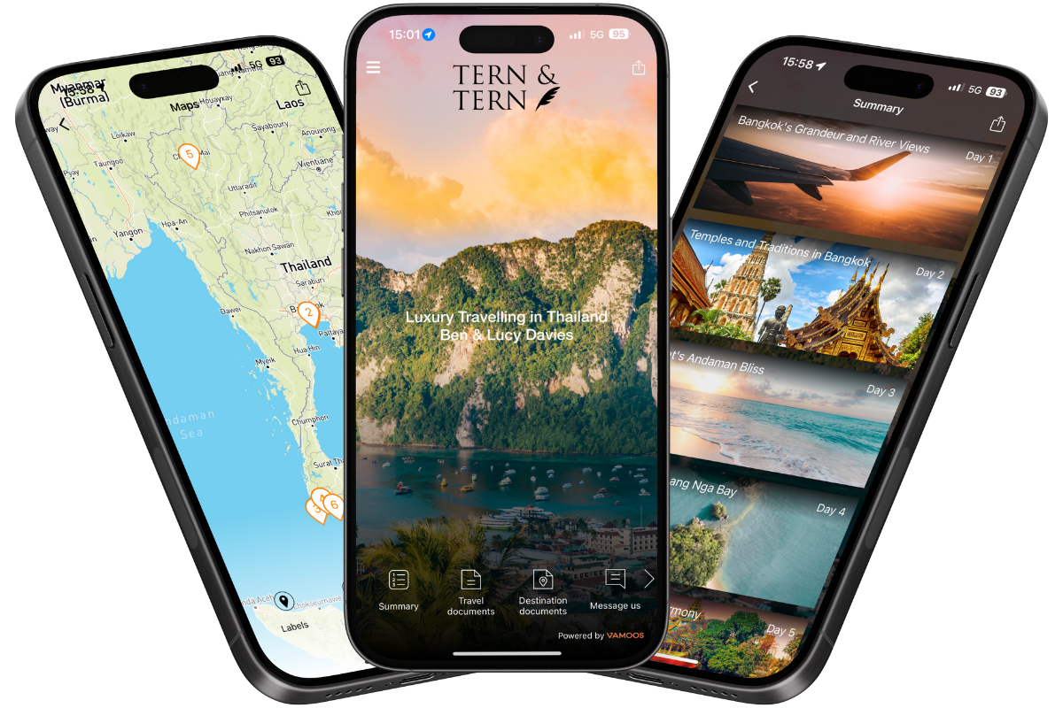 How It Works | Vamoos